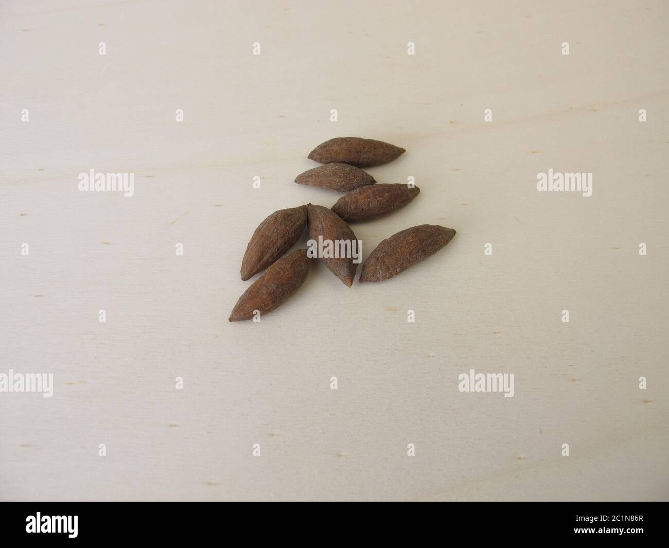Olive seeds to grow an olive tree Stock Photo - Alamy