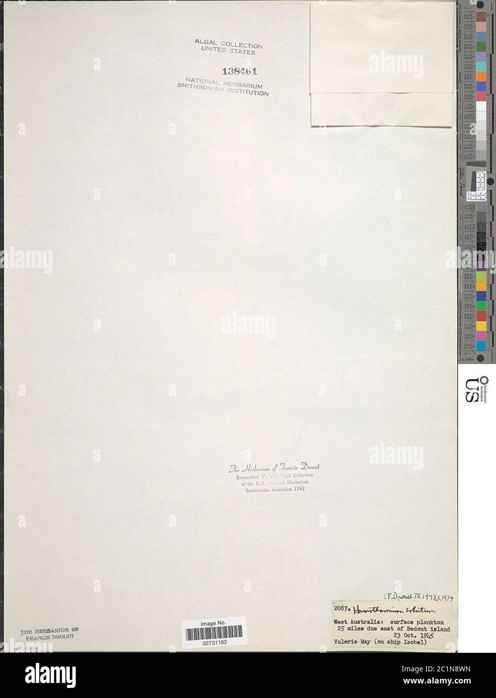 Anabaena bacteria hi-res stock photography and images - Alamy