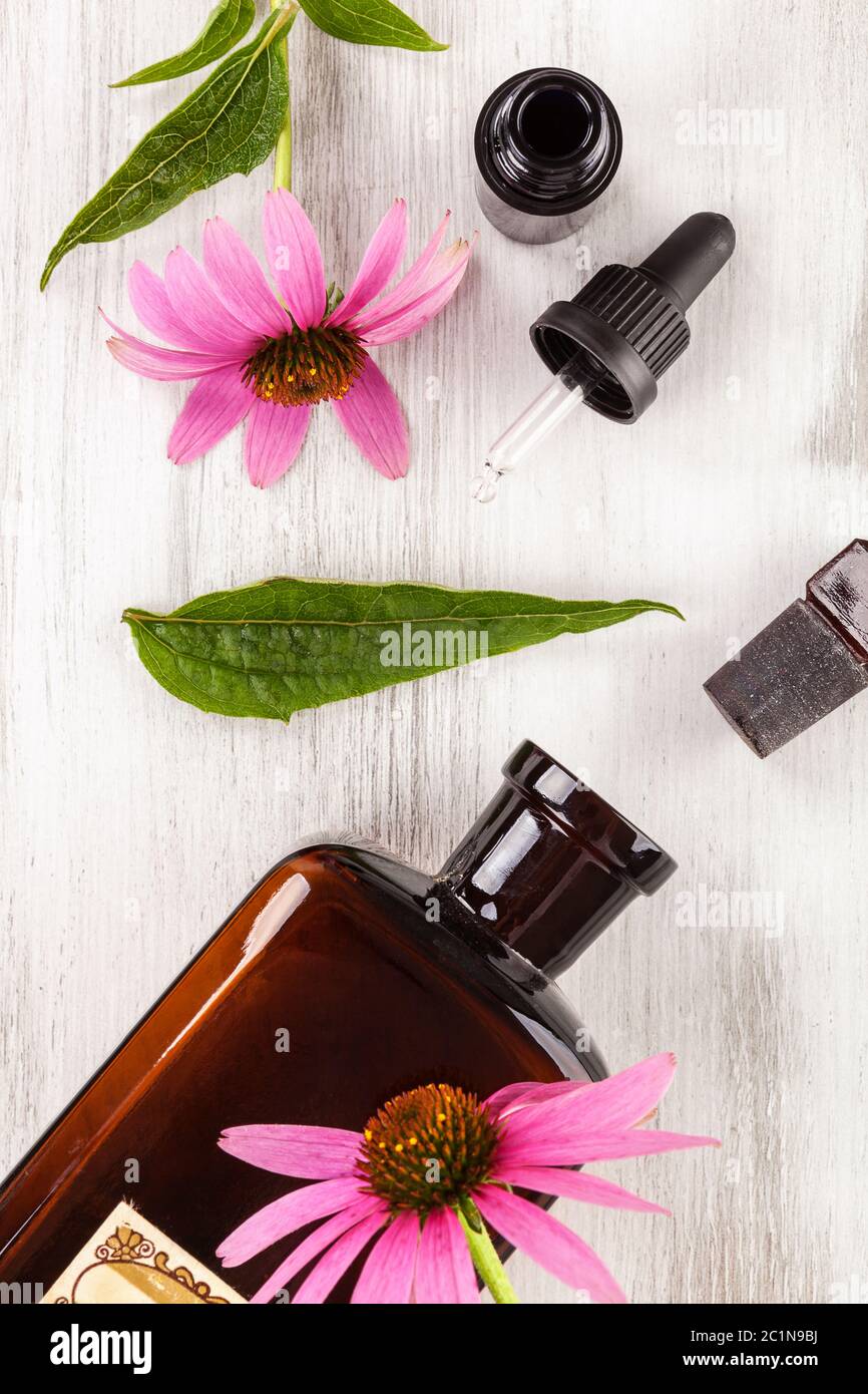 Echinacea flower extract Stock Photo - Alamy