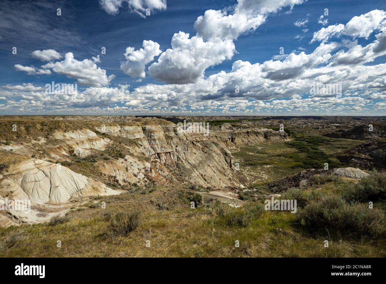 Canyon in the Badlands of Alberta in Canada Stock Photo - Alamy