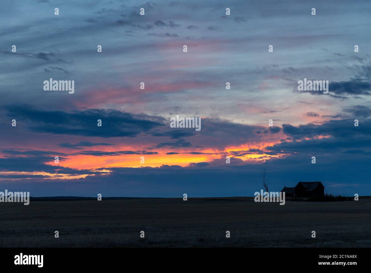 Prairie dawn hi-res stock photography and images - Alamy