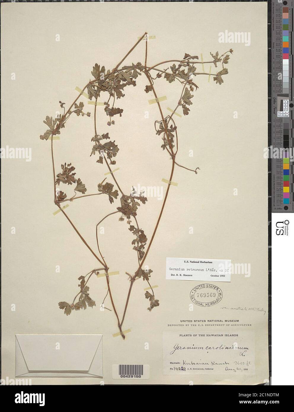 Retrorsum hi-res stock photography and images - Alamy