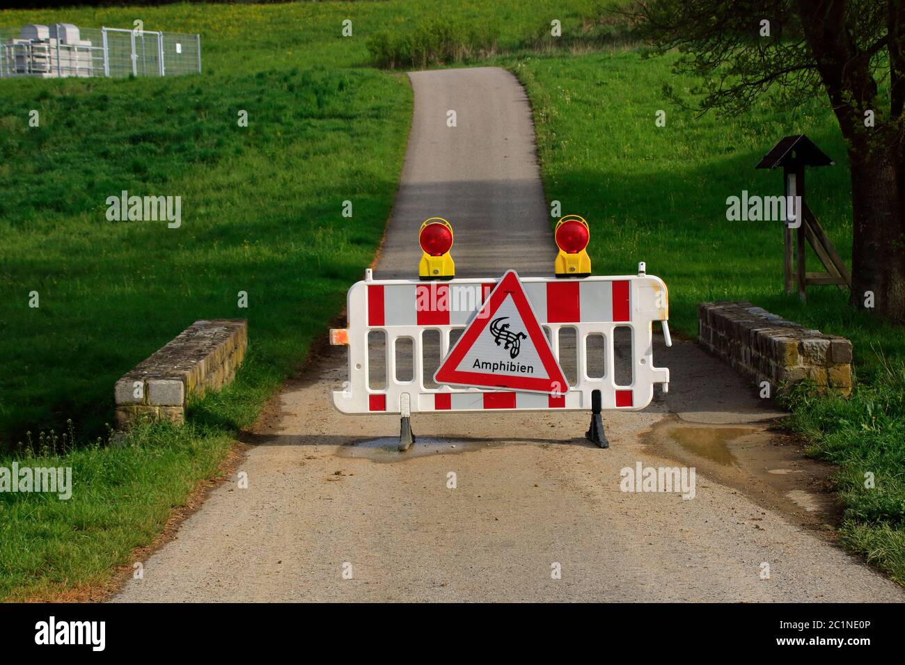 Animal blocking road hi-res stock photography and images - Alamy