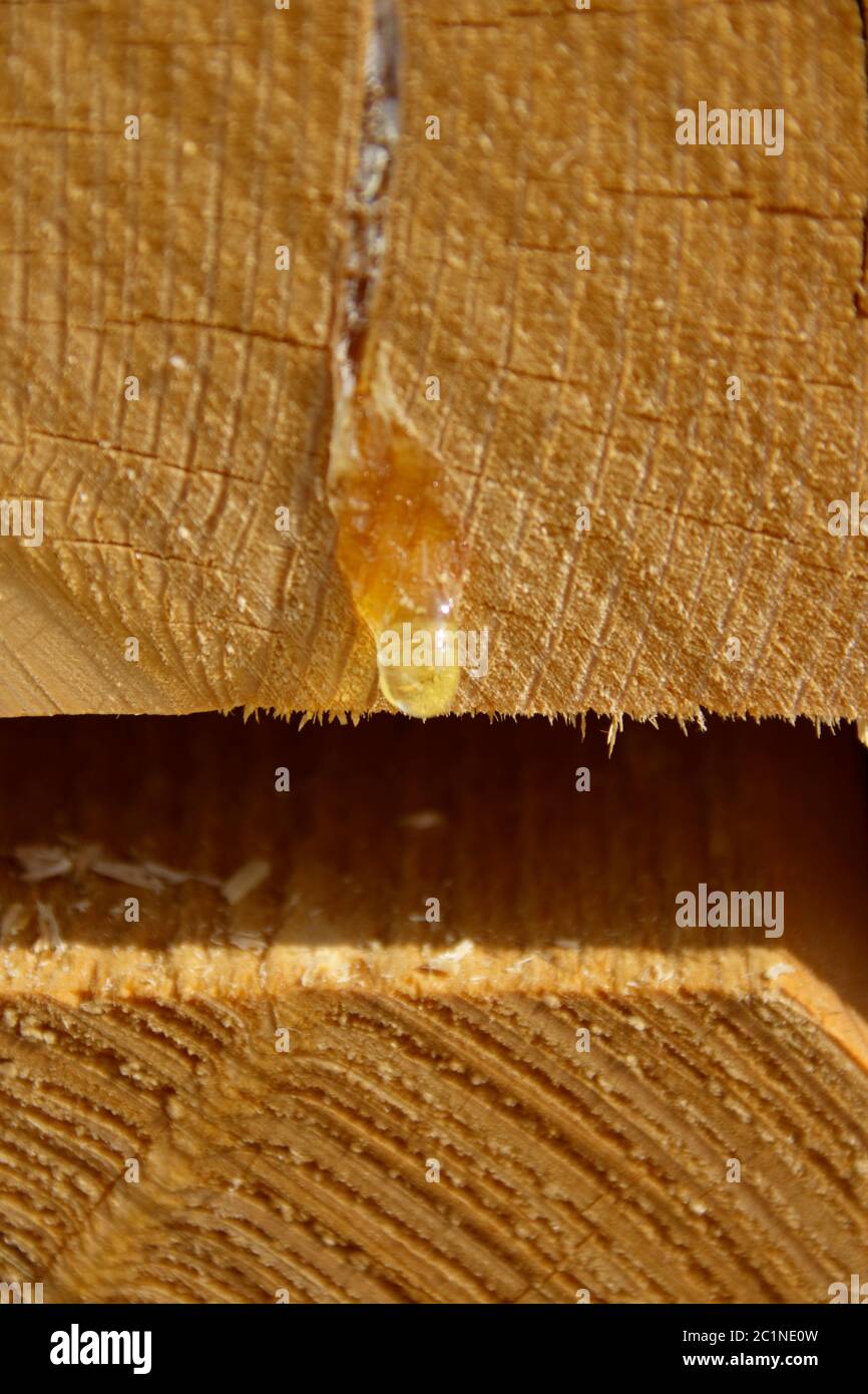 Wood resin hi-res stock photography and images - Alamy