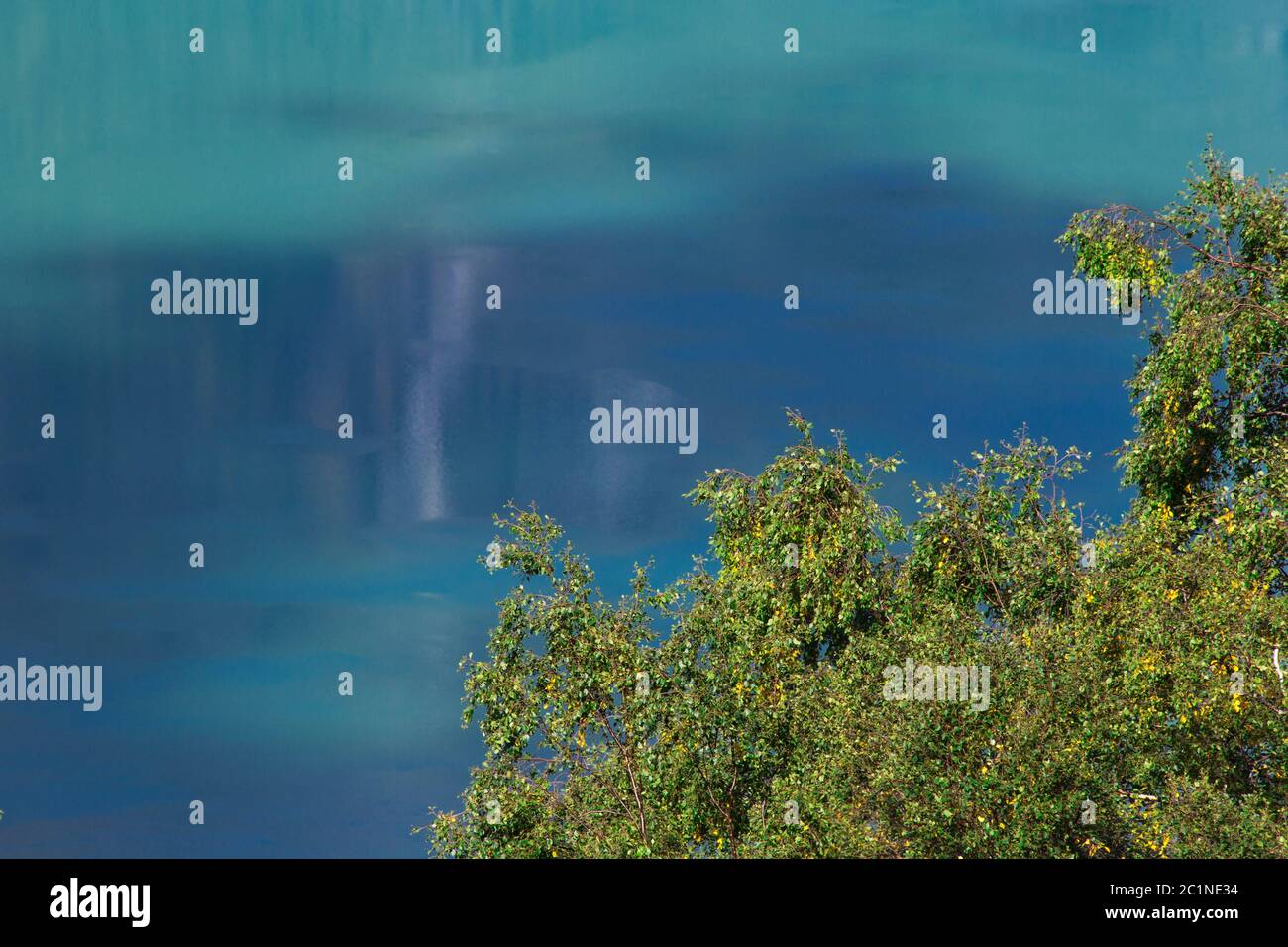 Water close up of a calm lake soft texture background Stock Photo - Alamy