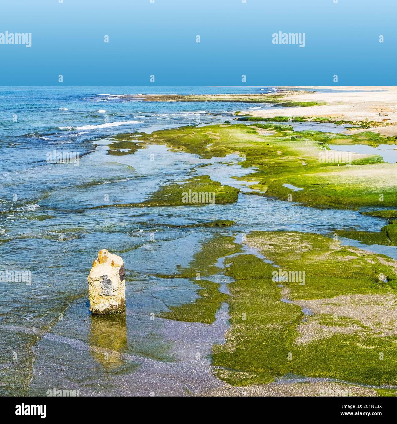 Cliffs covered with algae Stock Photo - Alamy