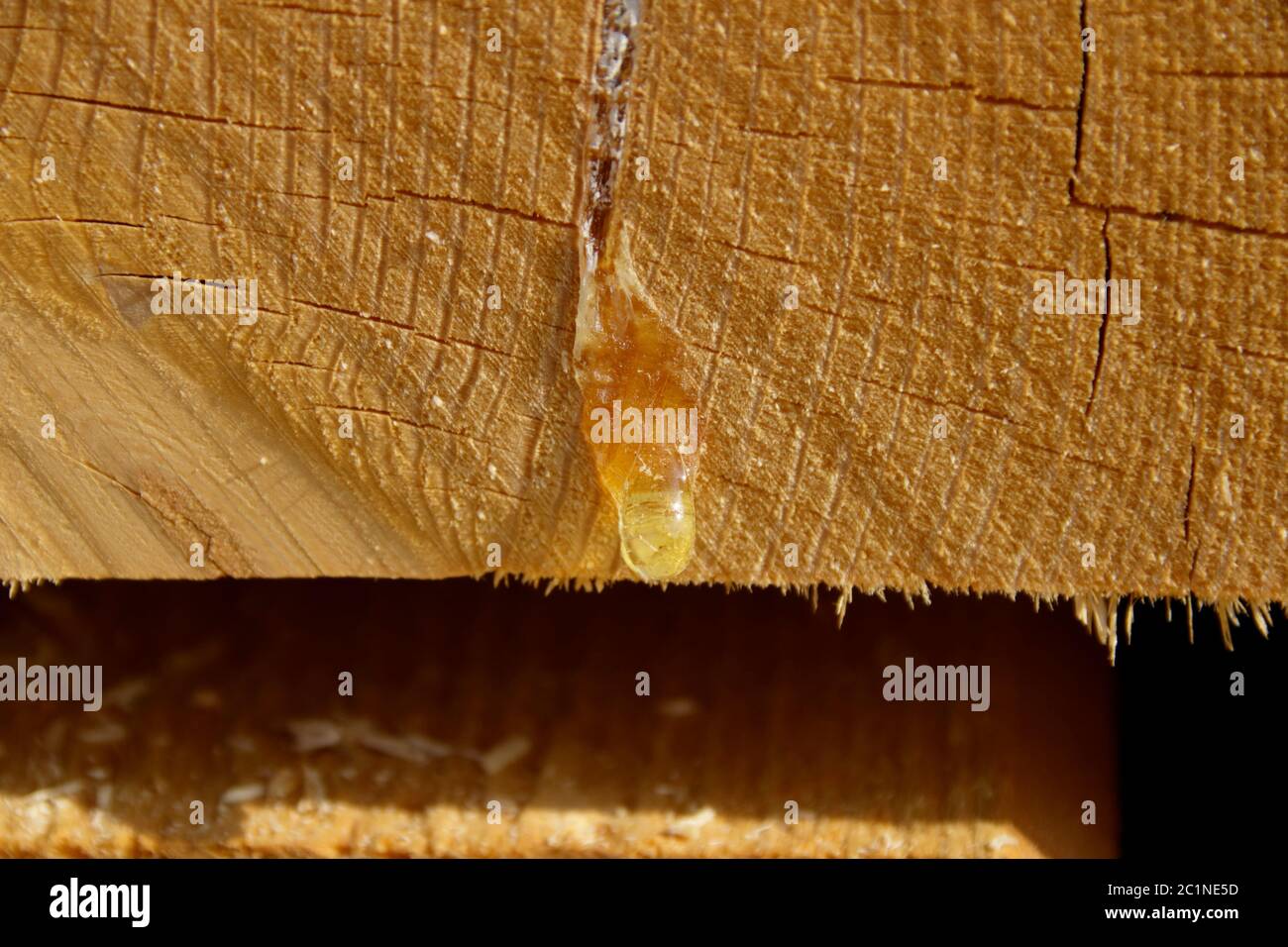 Resin drops on a piece of wood Stock Photo - Alamy