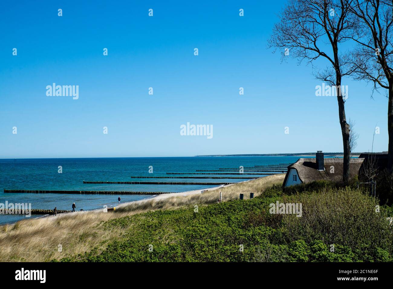 The beach of Ahrenshoop on the Baltic Sea Stock Photo - Alamy