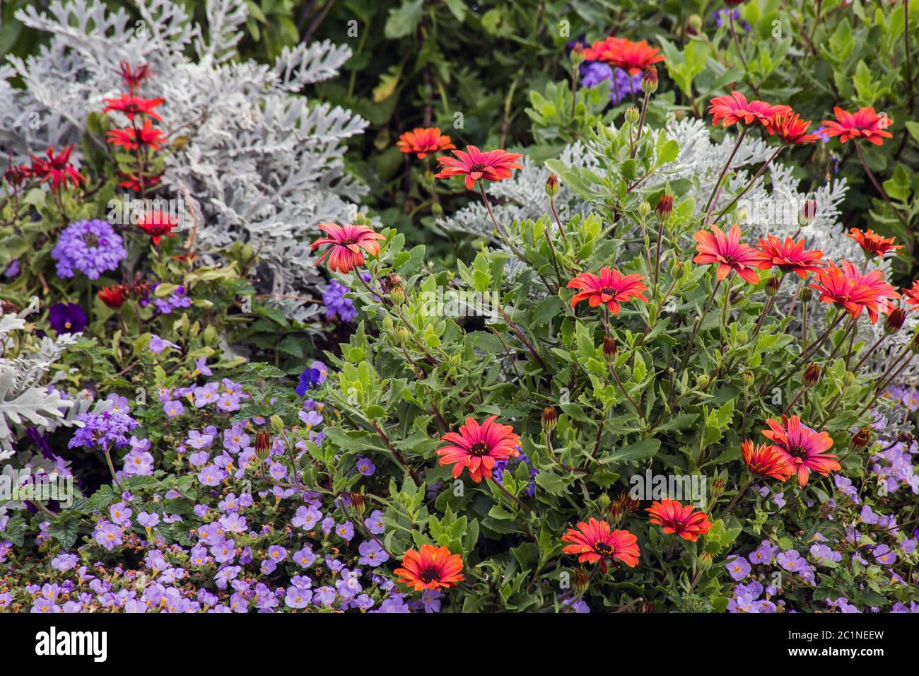 Mix of different textures hi-res stock photography and images - Alamy