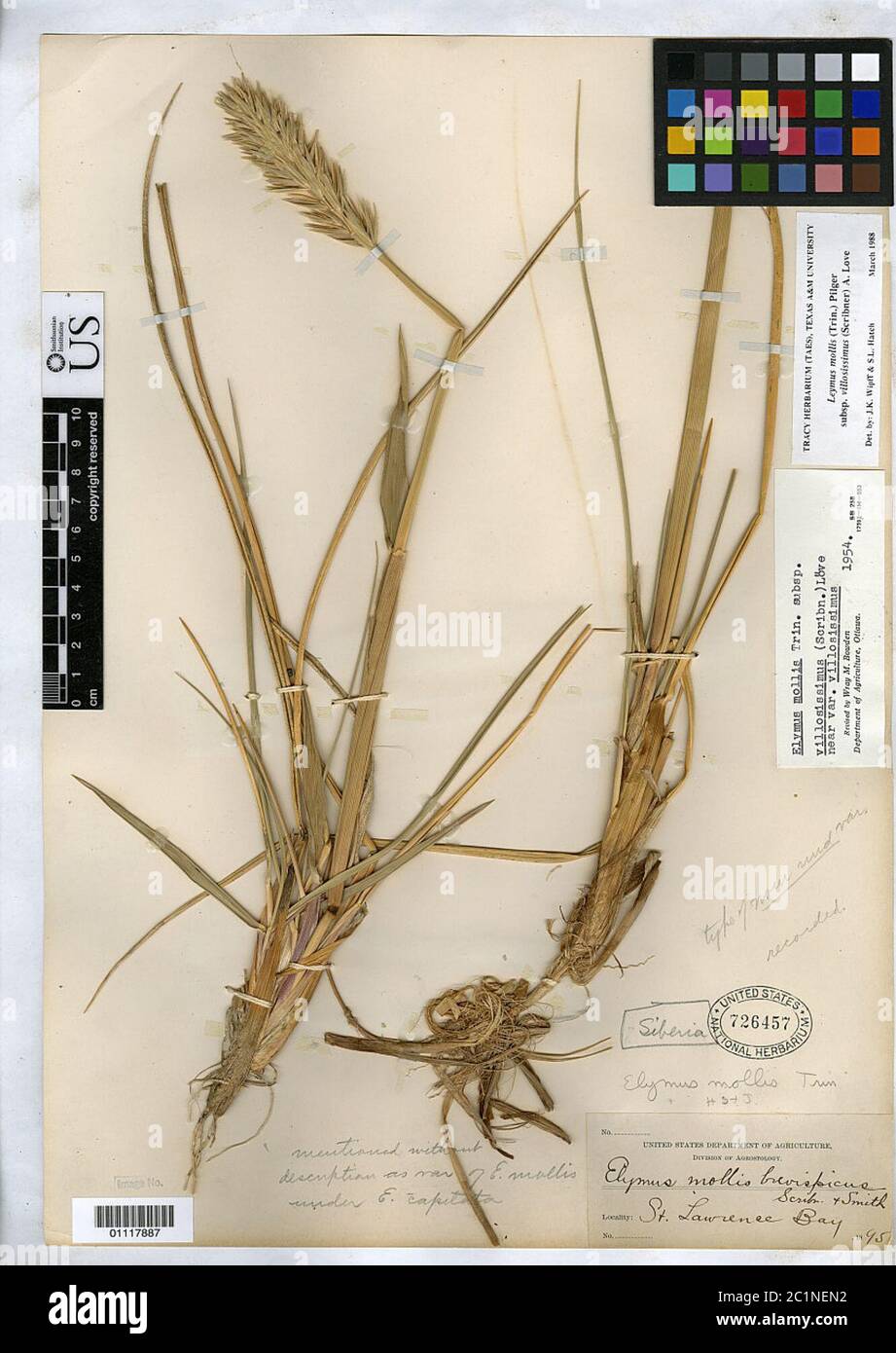 Scribn hi-res stock photography and images - Alamy