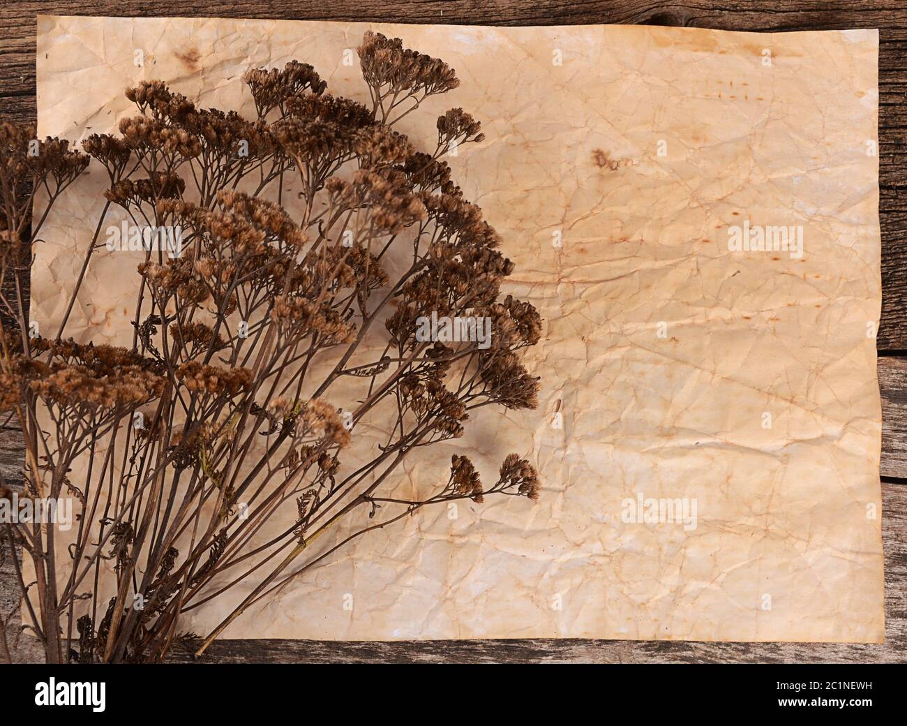 Burned paper edge hi-res stock photography and images - Alamy