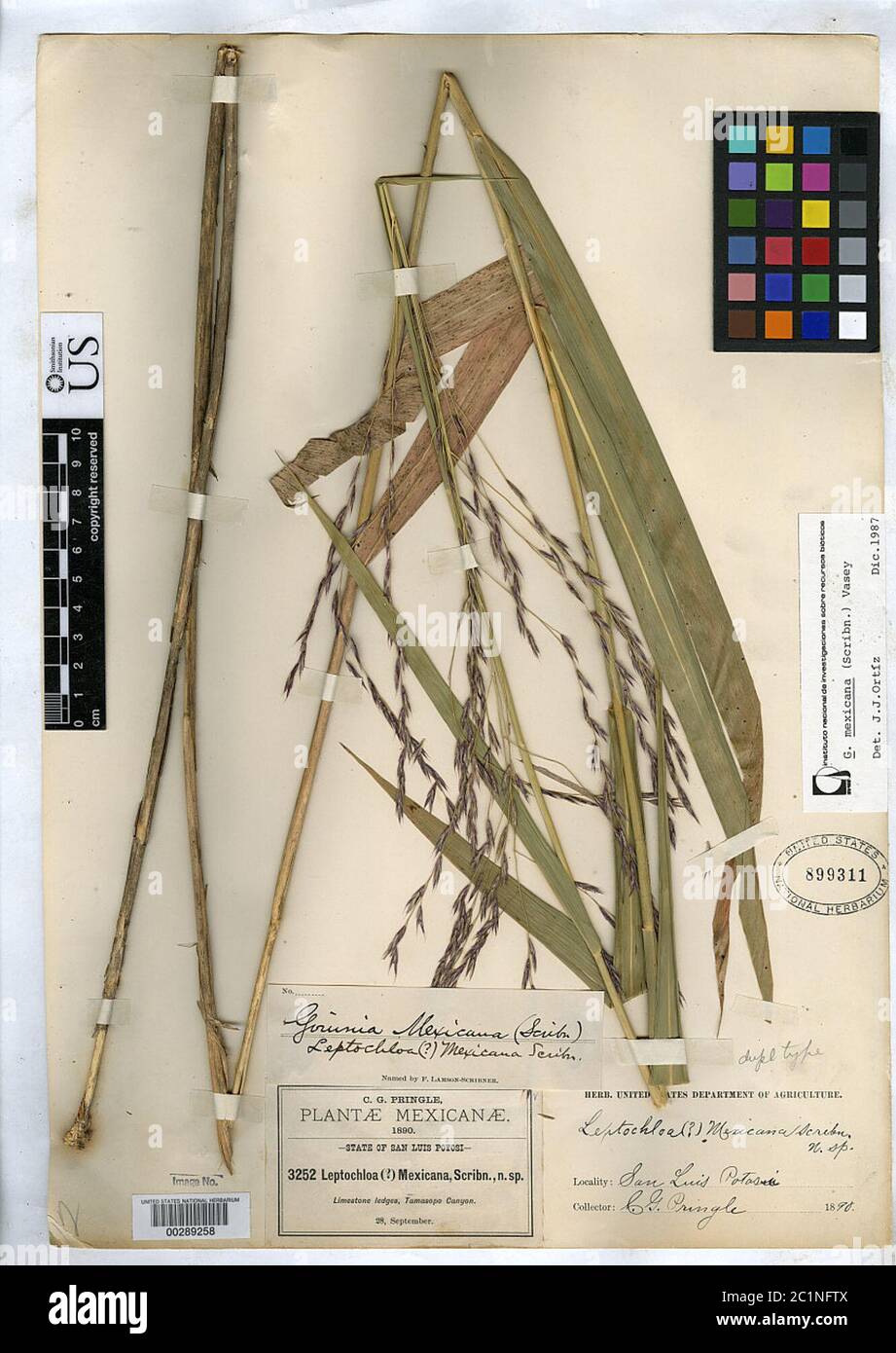 Scribn hi-res stock photography and images - Alamy