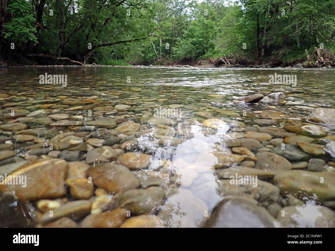 Half underwater- half overwater photograph of a clean river. The River ...