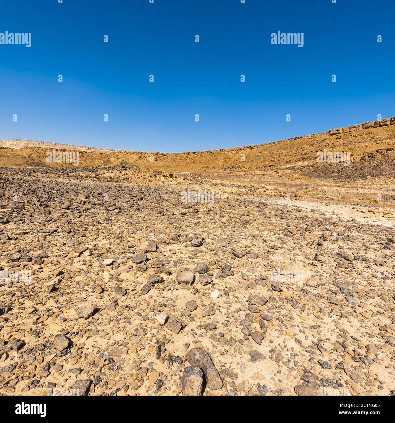 Whimsical patterns desert hi-res stock photography and images - Alamy