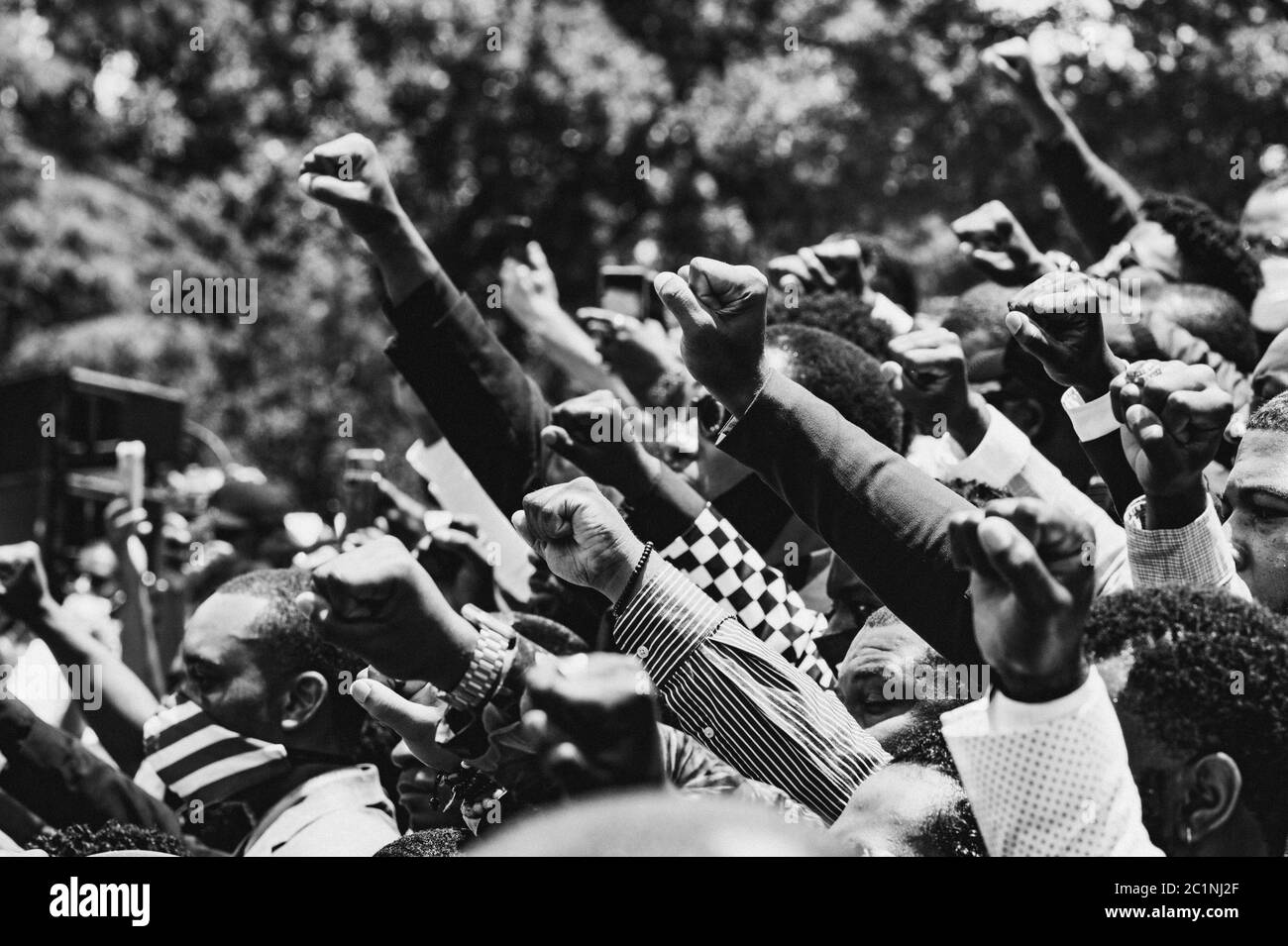 Million man march hi-res stock photography and images - Alamy