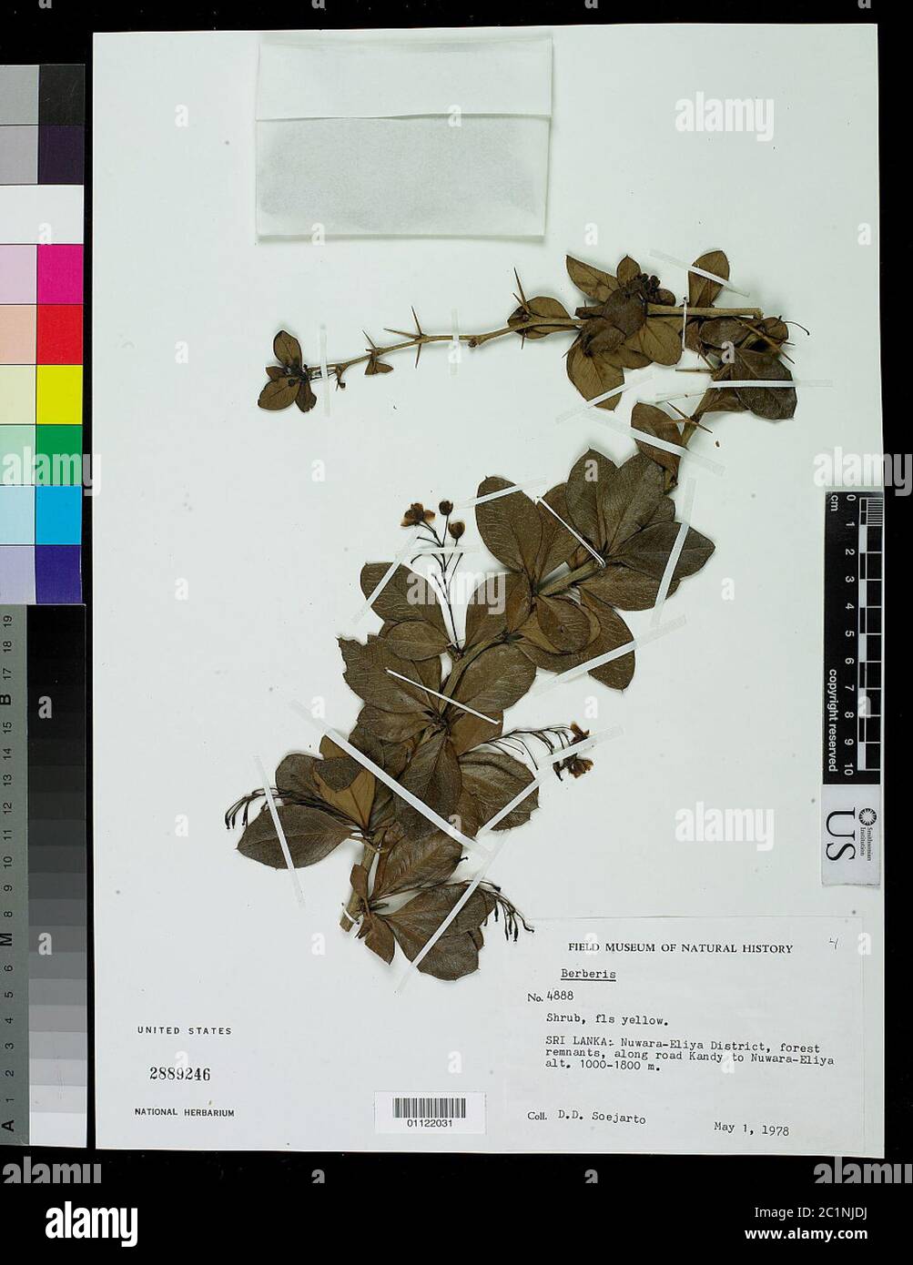 Indet sp Indet sp Stock Photo - Alamy