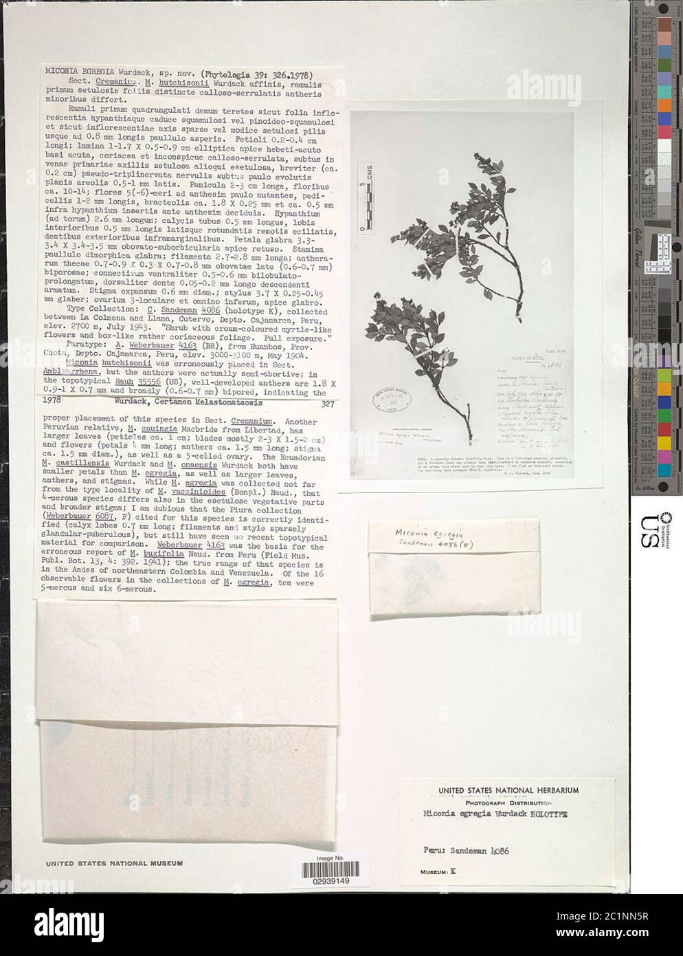 Egregia hi-res stock photography and images - Alamy