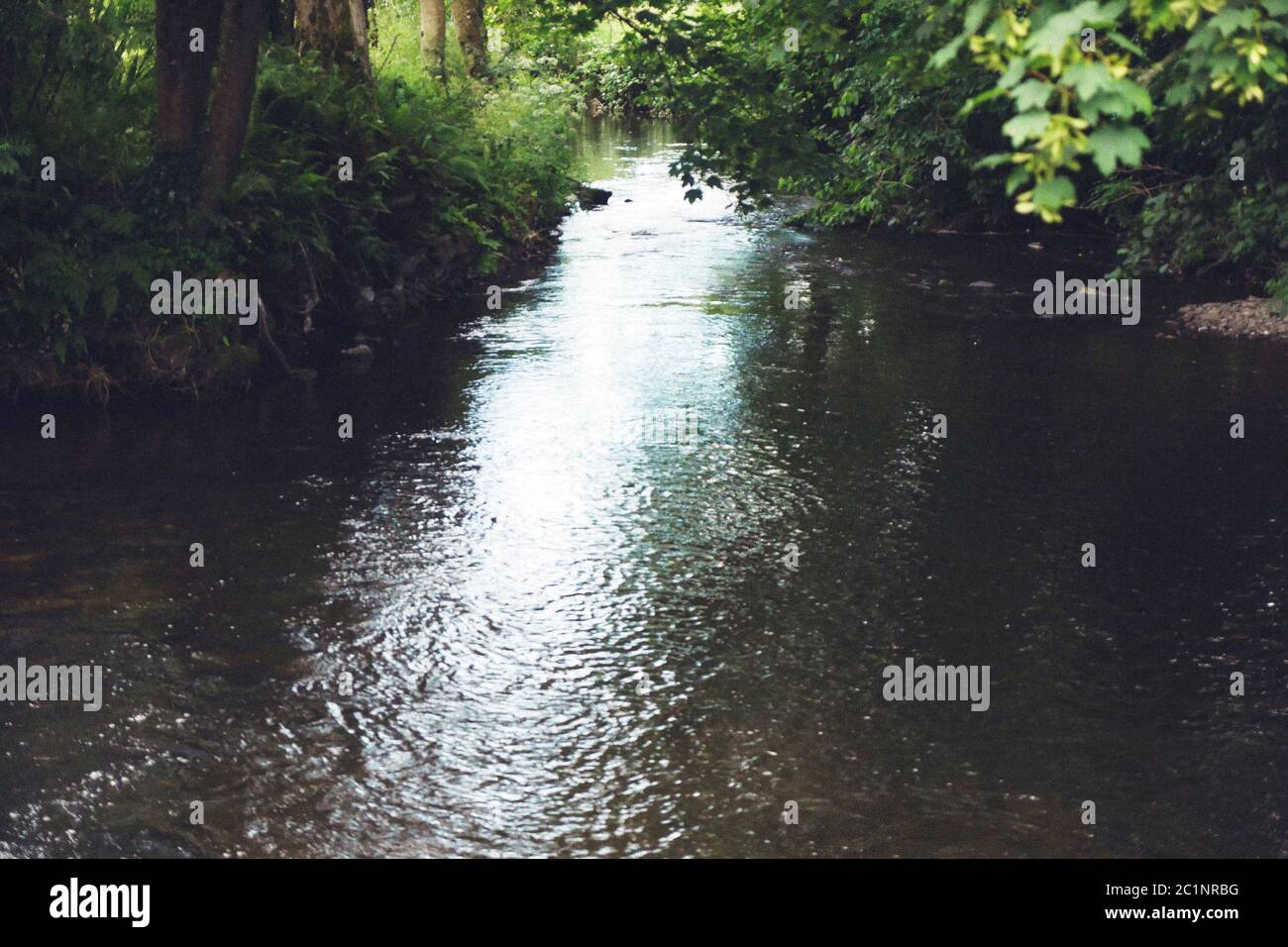 River flowing, city of Killarney Ireland Stock Photo - Alamy