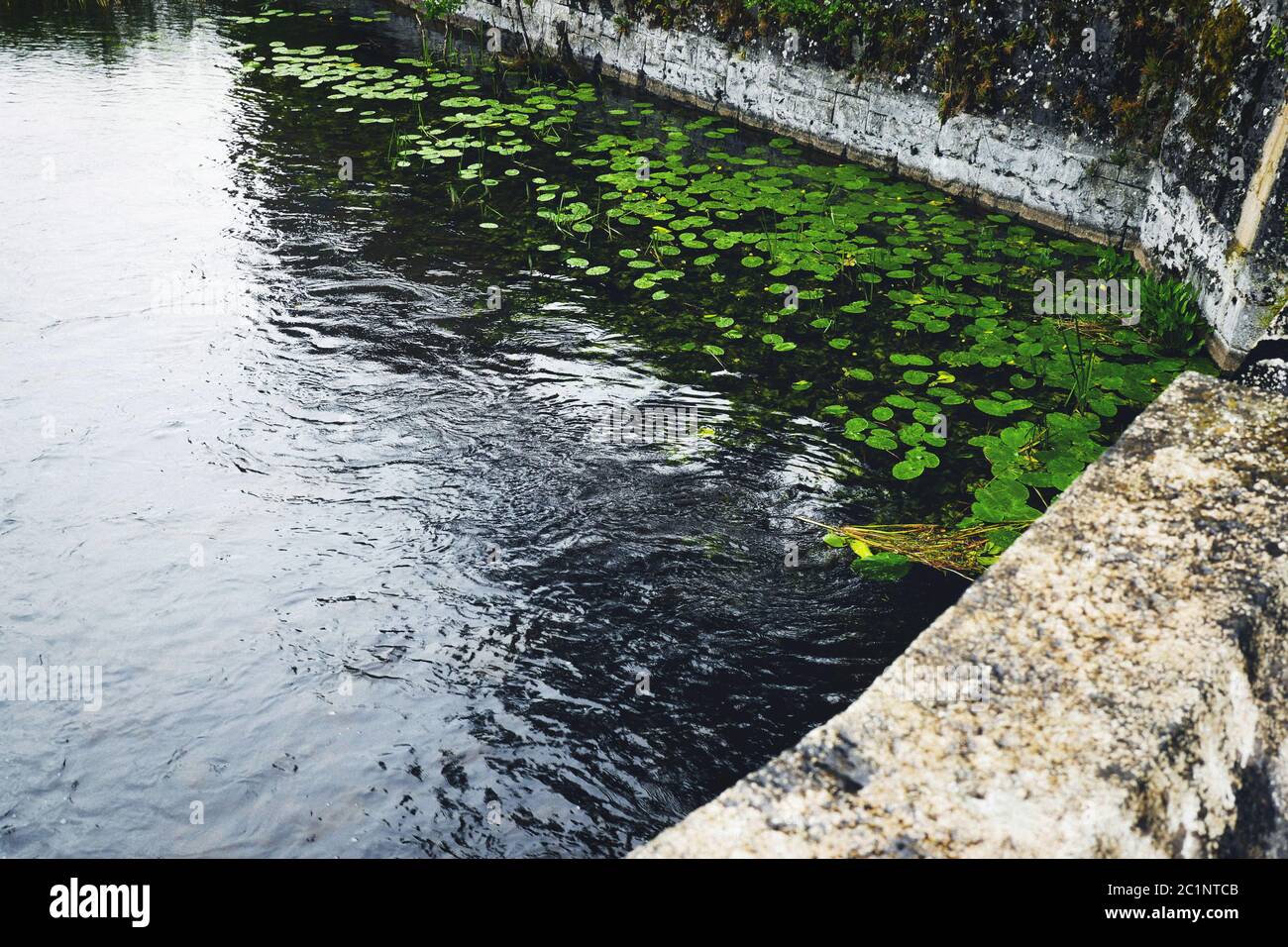 Beautiful small pond, village of Cong Ireland Stock Photo - Alamy