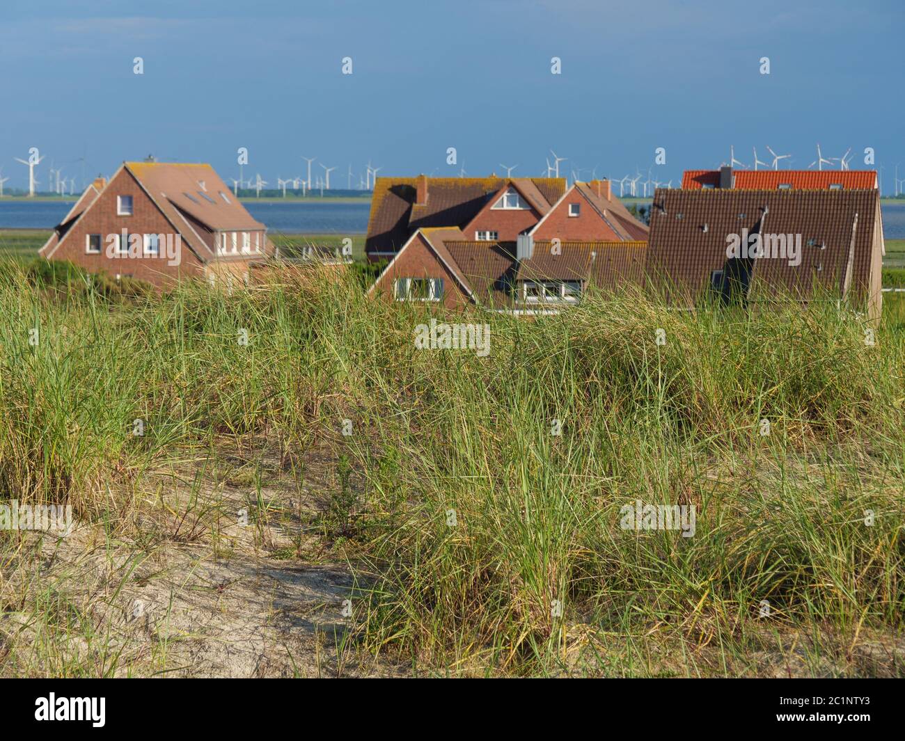 The small island of baltrum in the north sea Stock Photo - Alamy