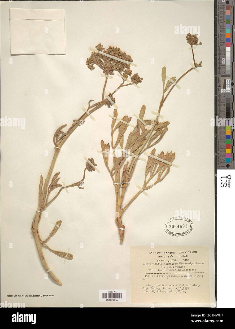 S Maritimum High Resolution Stock Photography and Images - Alamy