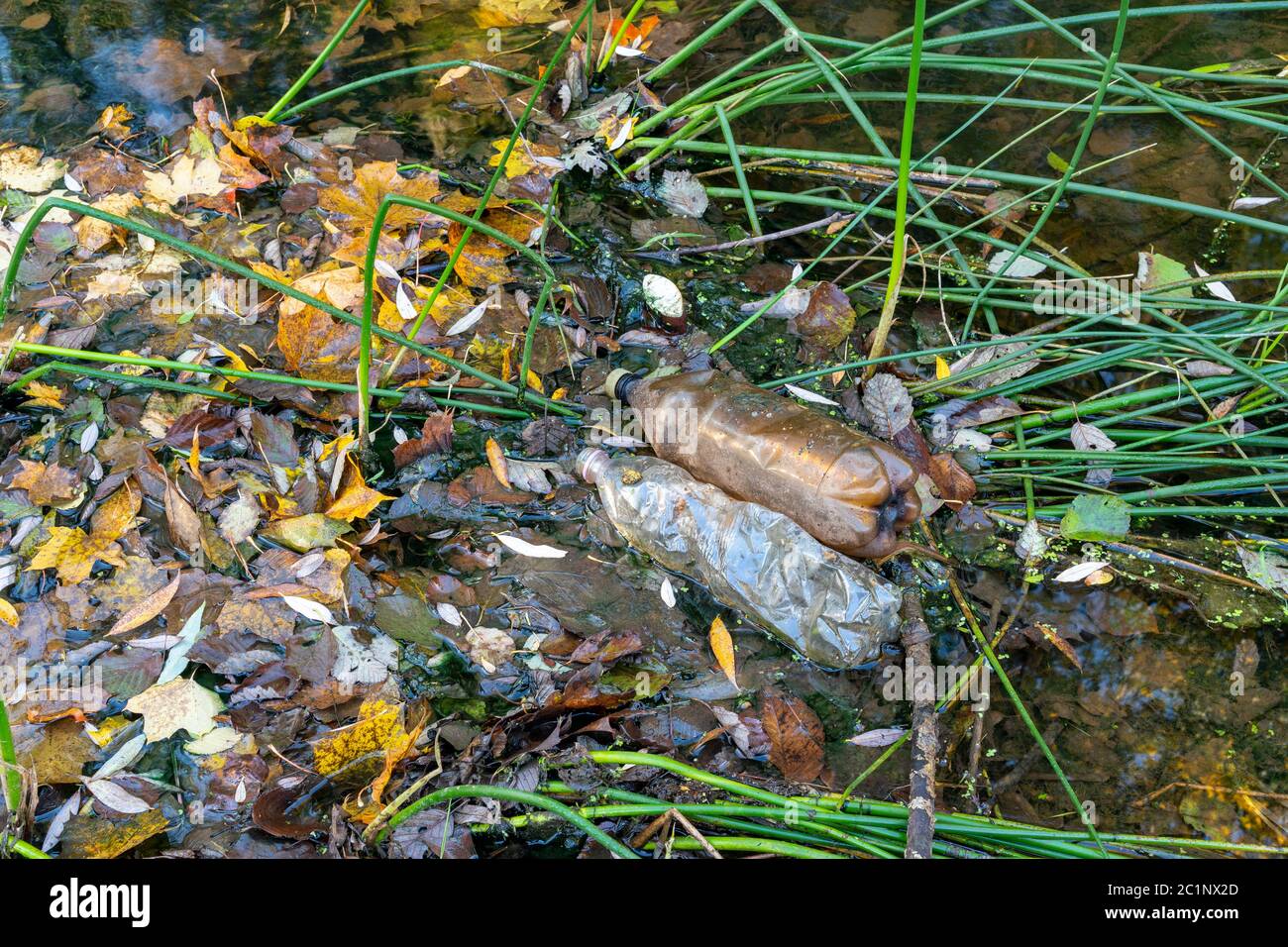 Human pollution hi-res stock photography and images - Alamy