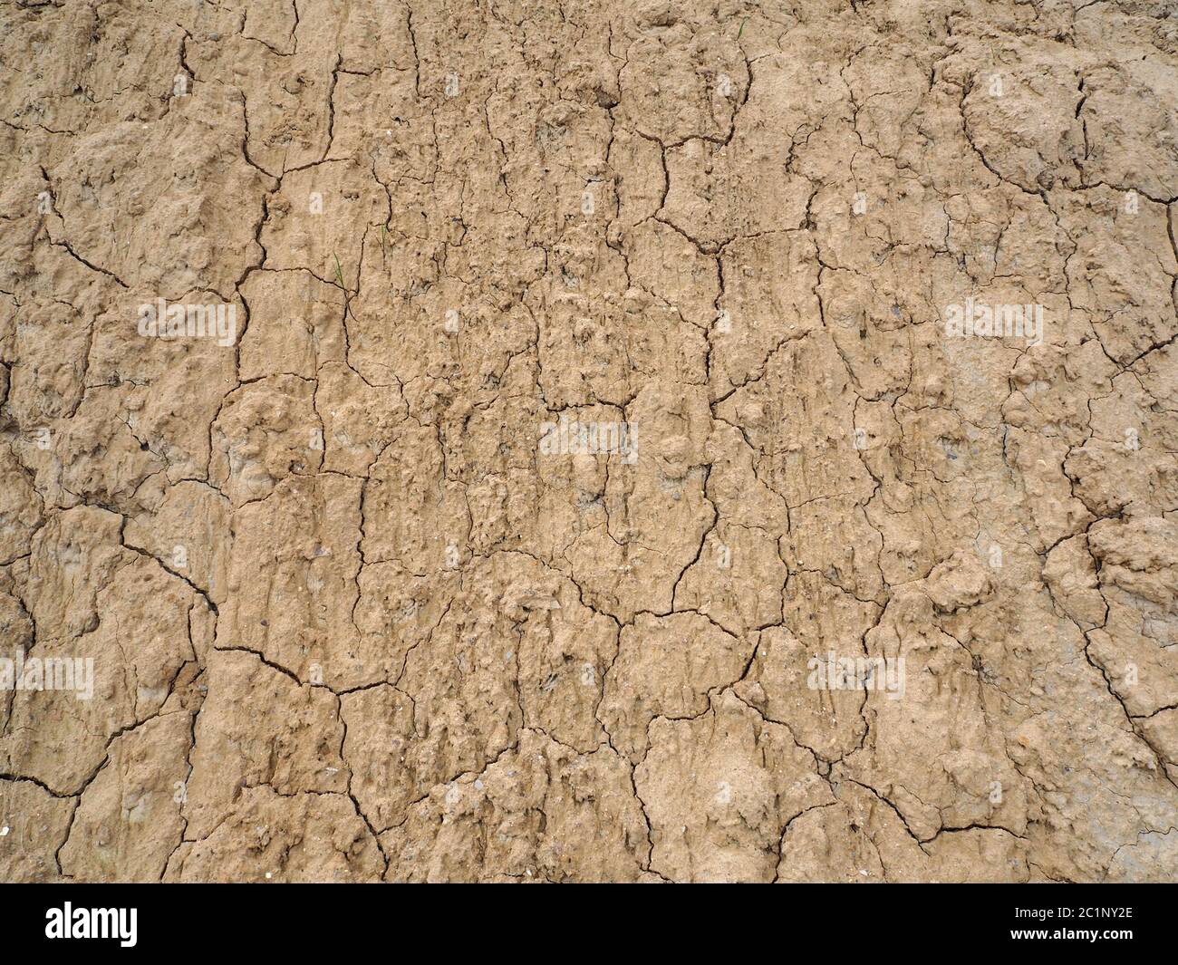 Soil structure hi-res stock photography and images - Alamy