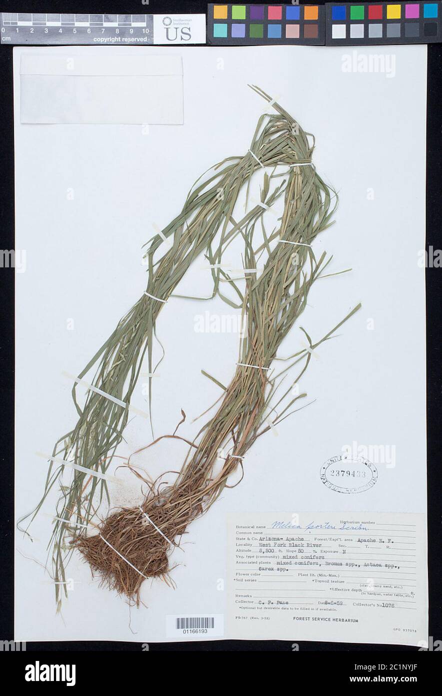 Scribn hi-res stock photography and images - Alamy