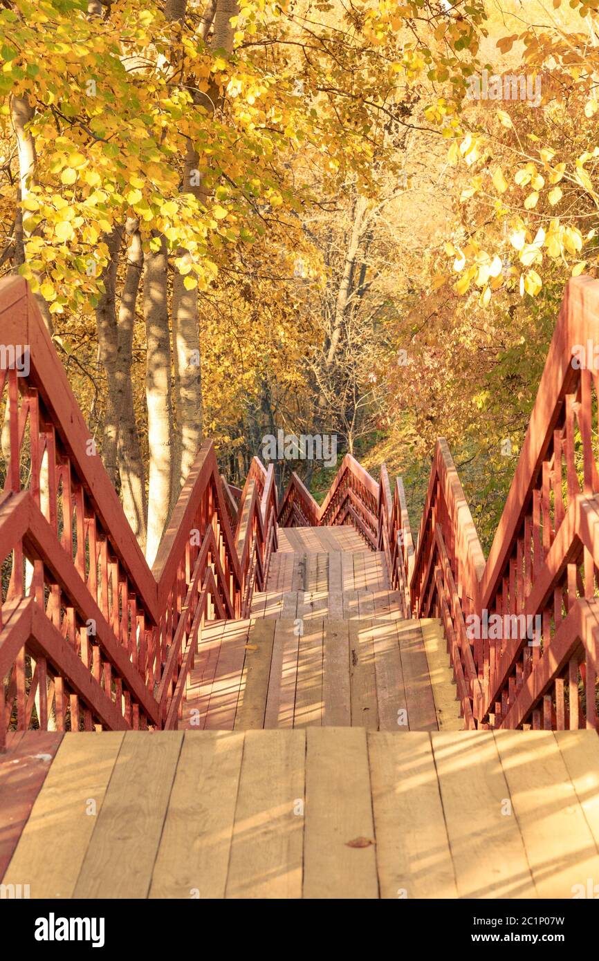 Hiking pathway wth wooden stairs in an autumn forest Stock Photo - Alamy