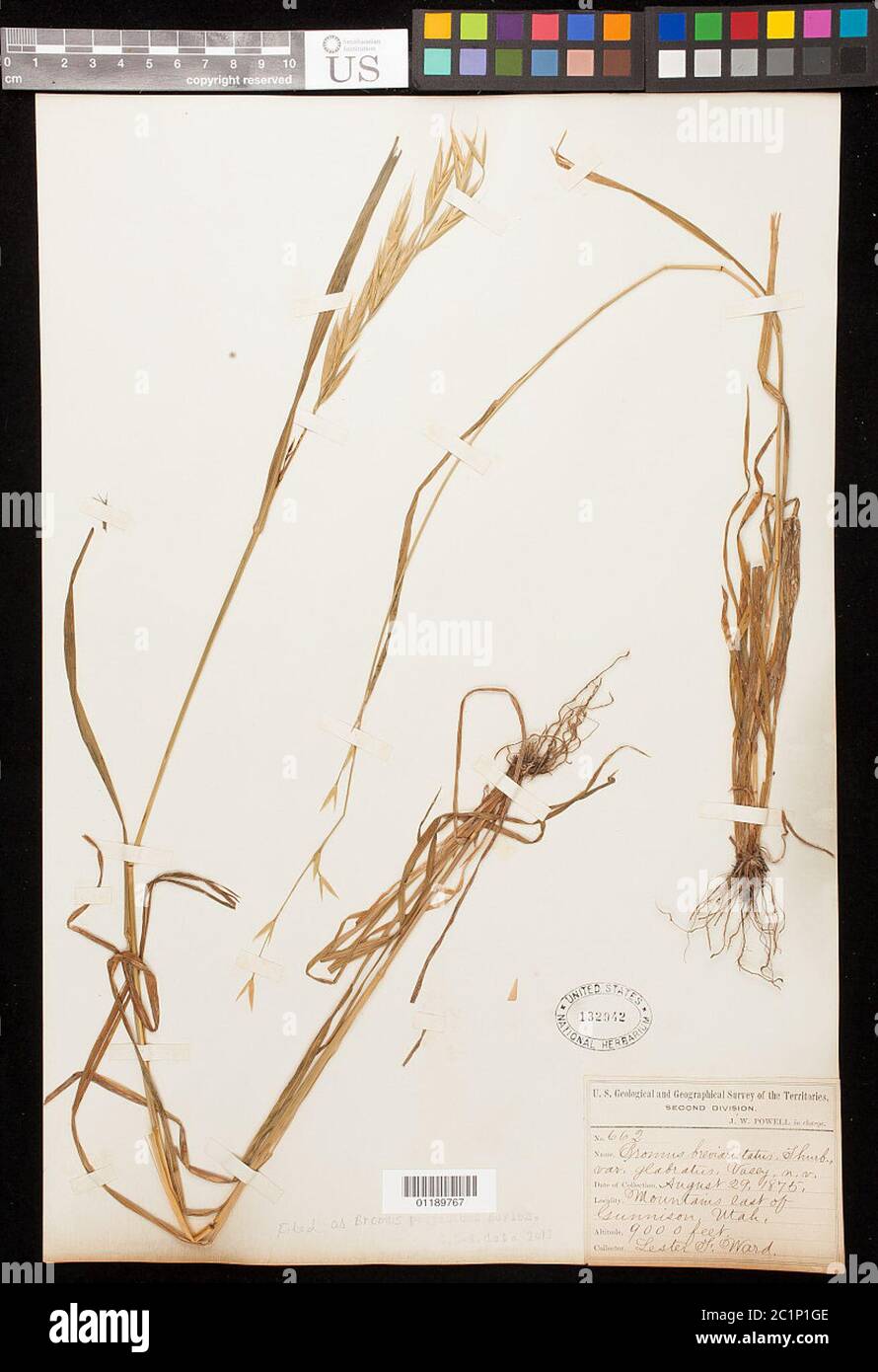 Scribn hi-res stock photography and images - Alamy