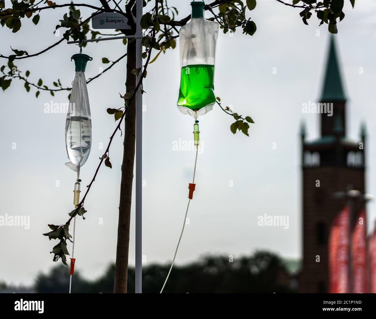 Drip on a tree Stock Photo - Alamy