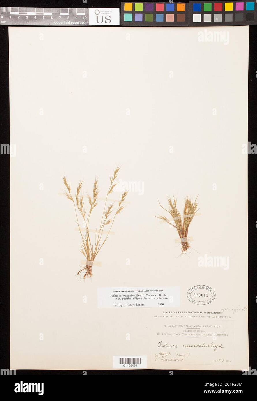 Scribn hi-res stock photography and images - Alamy