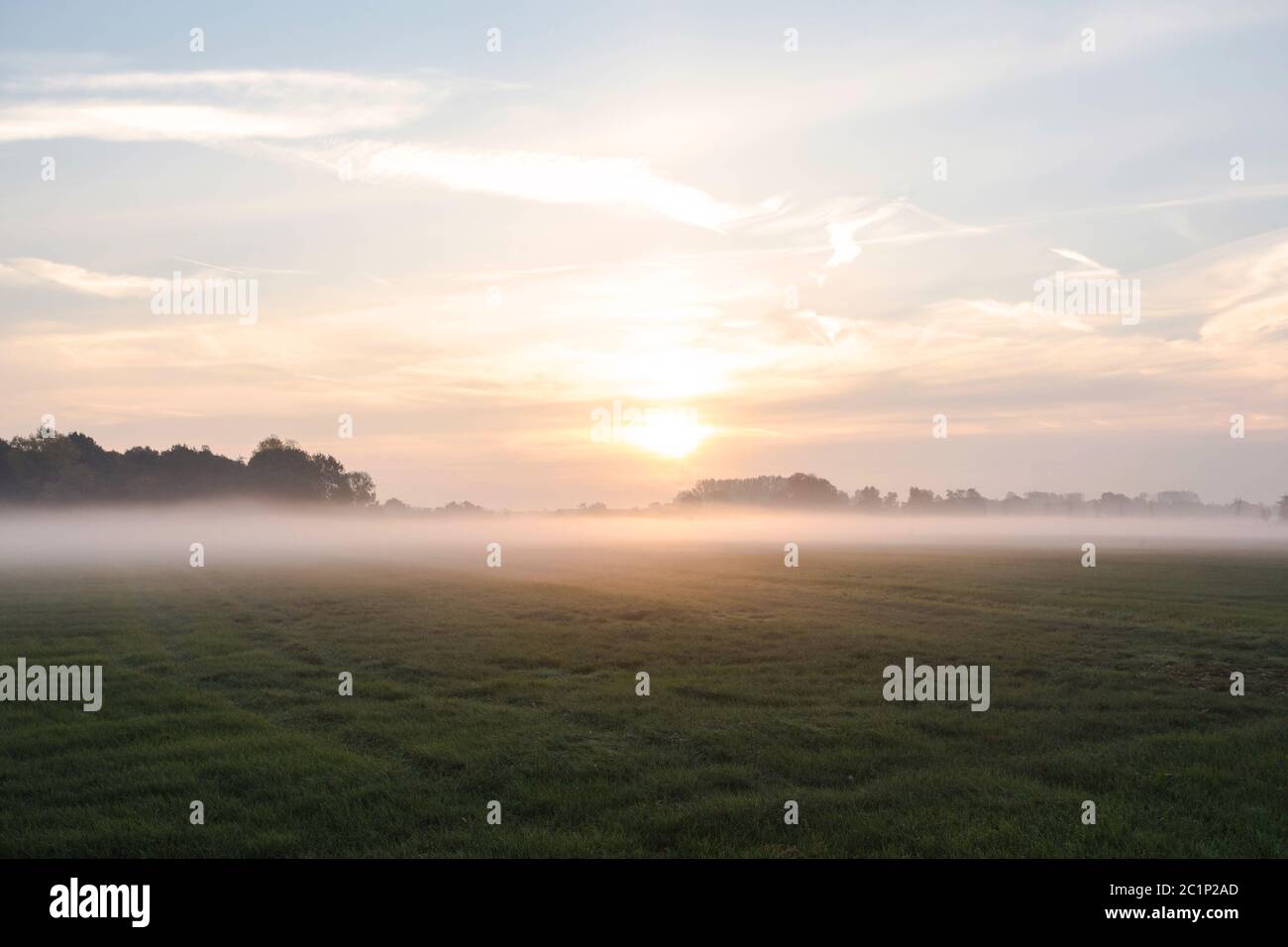 Fog Landscape.Early Morning Mist in the meadow with trees Stock Photo ...