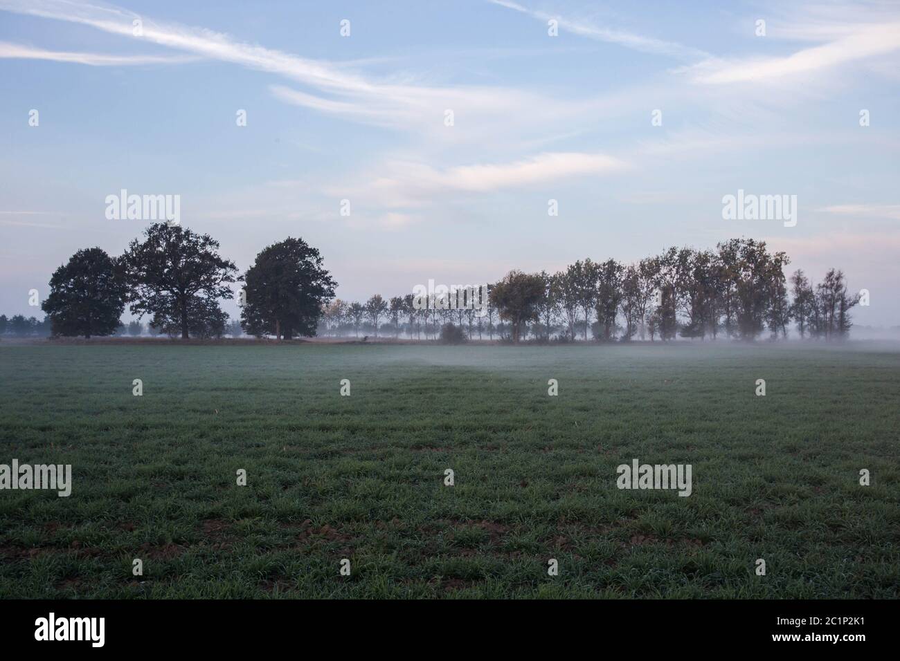 Meadow in morning mist at sunrise hi-res stock photography and images ...