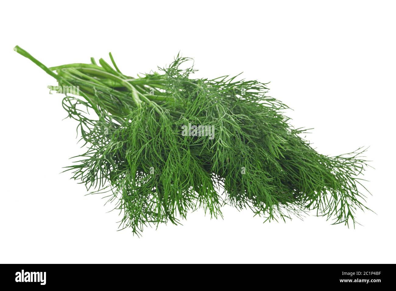 Dill herb isolated on Cut Out Stock Images & Pictures - Alamy