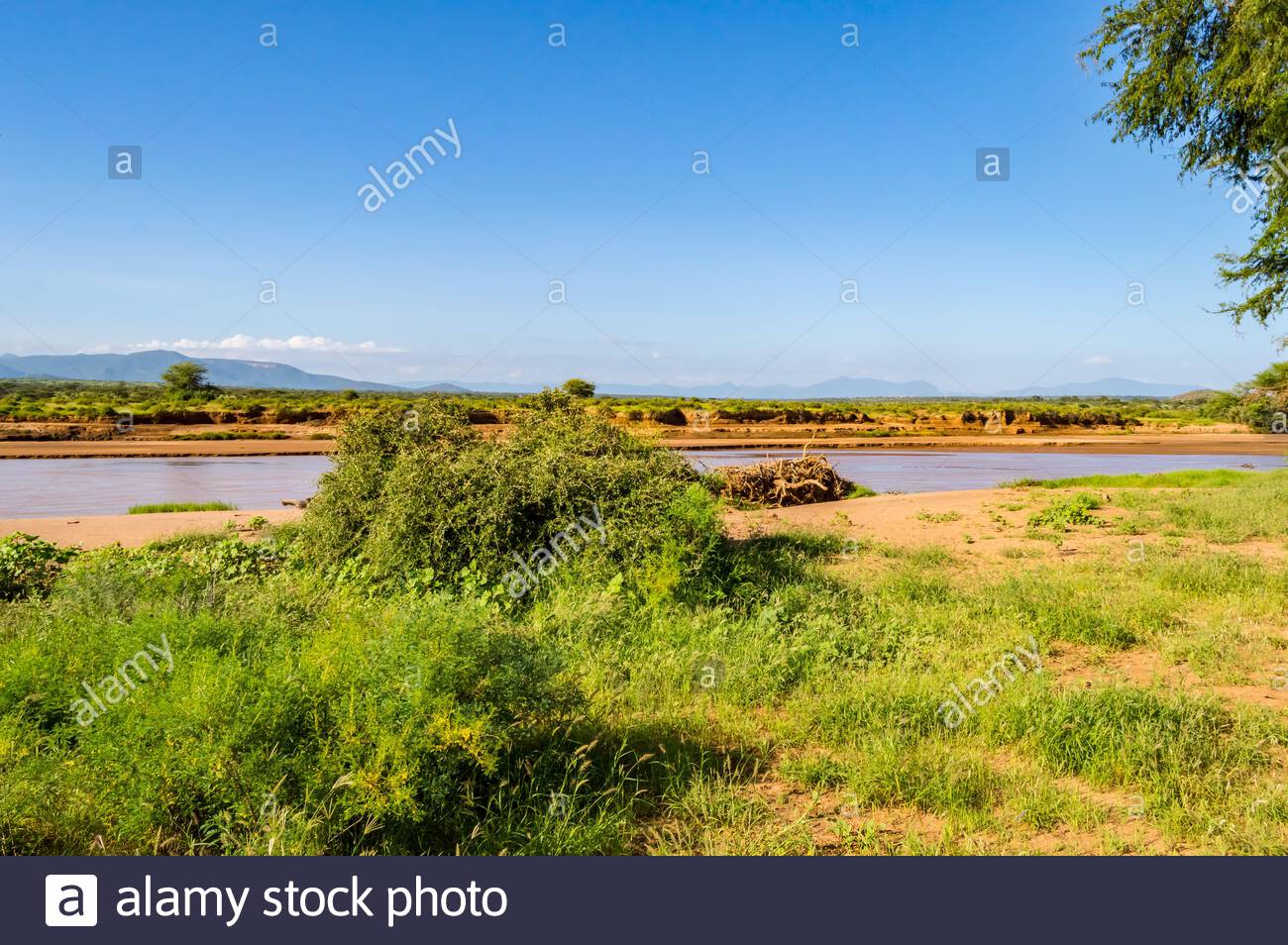 Ewaso Ng'iro River High Resolution Stock Photography and Images - Alamy