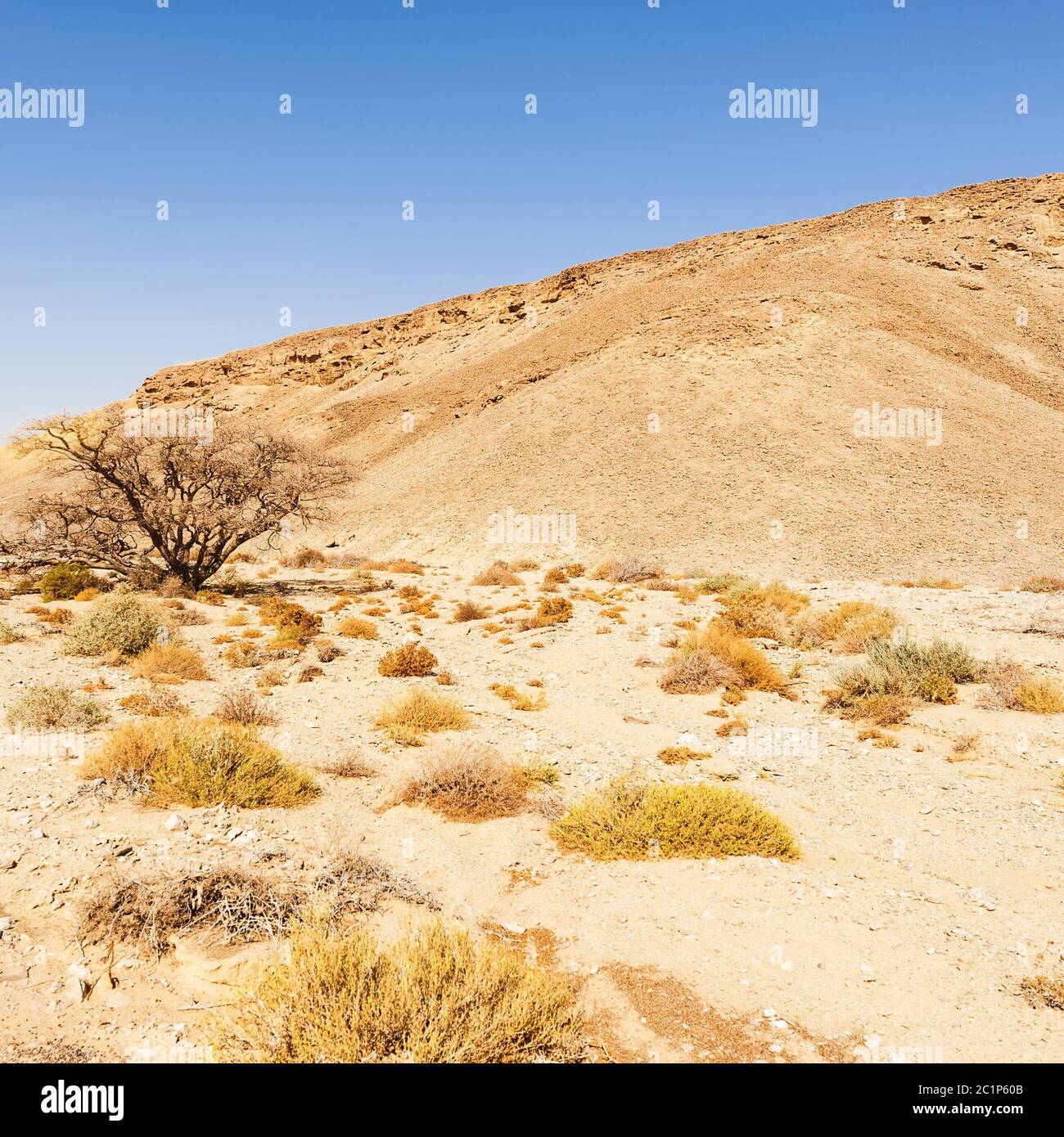 Whimsical Patterns of the Desert Stock Photo - Alamy