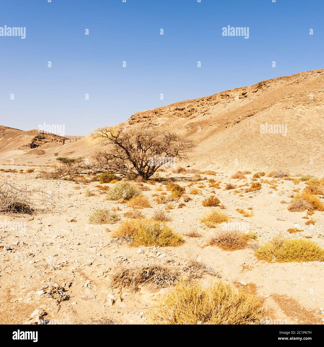 Whimsical Patterns of the Desert Stock Photo - Alamy
