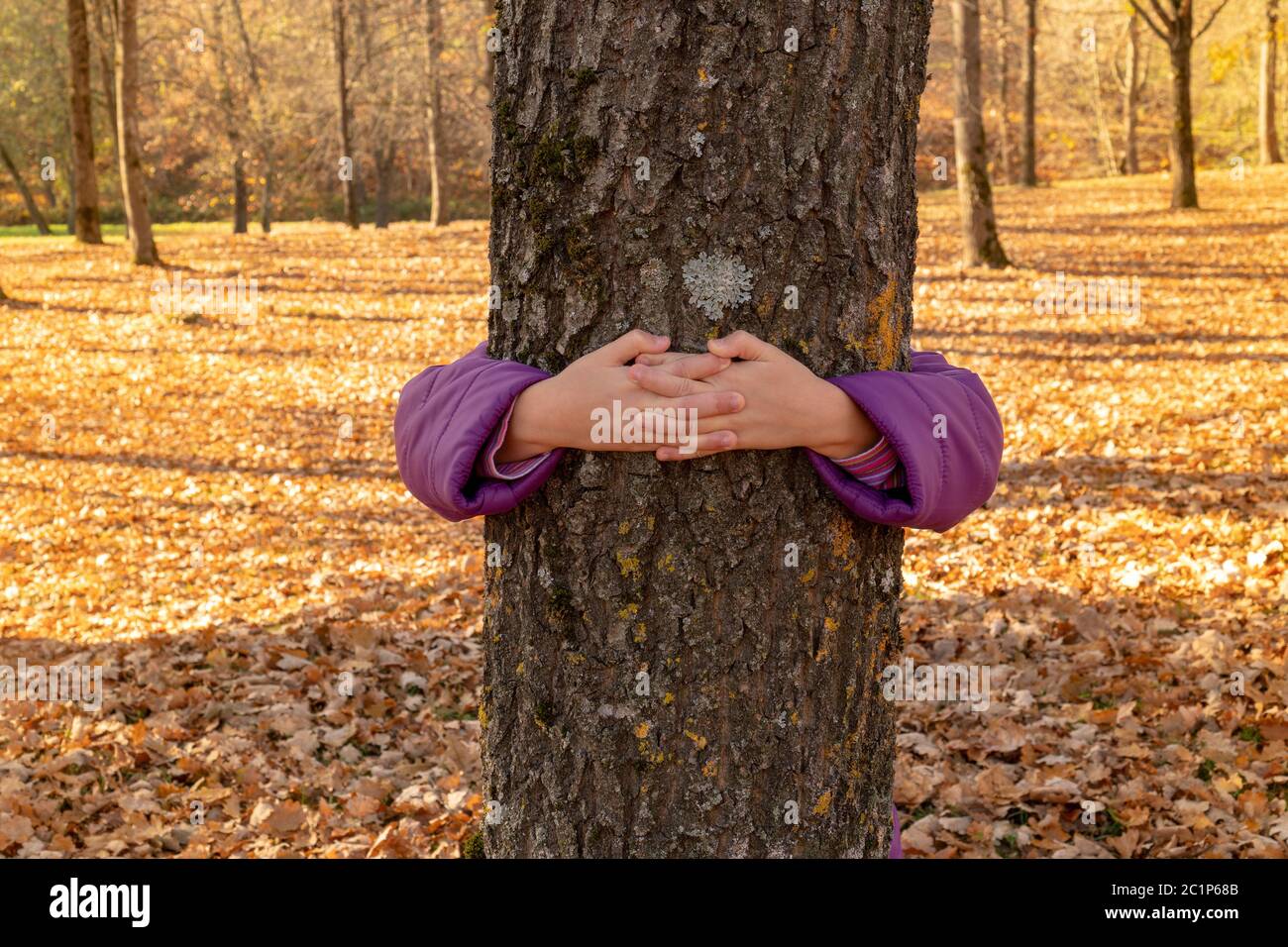 Child embracing tree trunk Stock Photo - Alamy