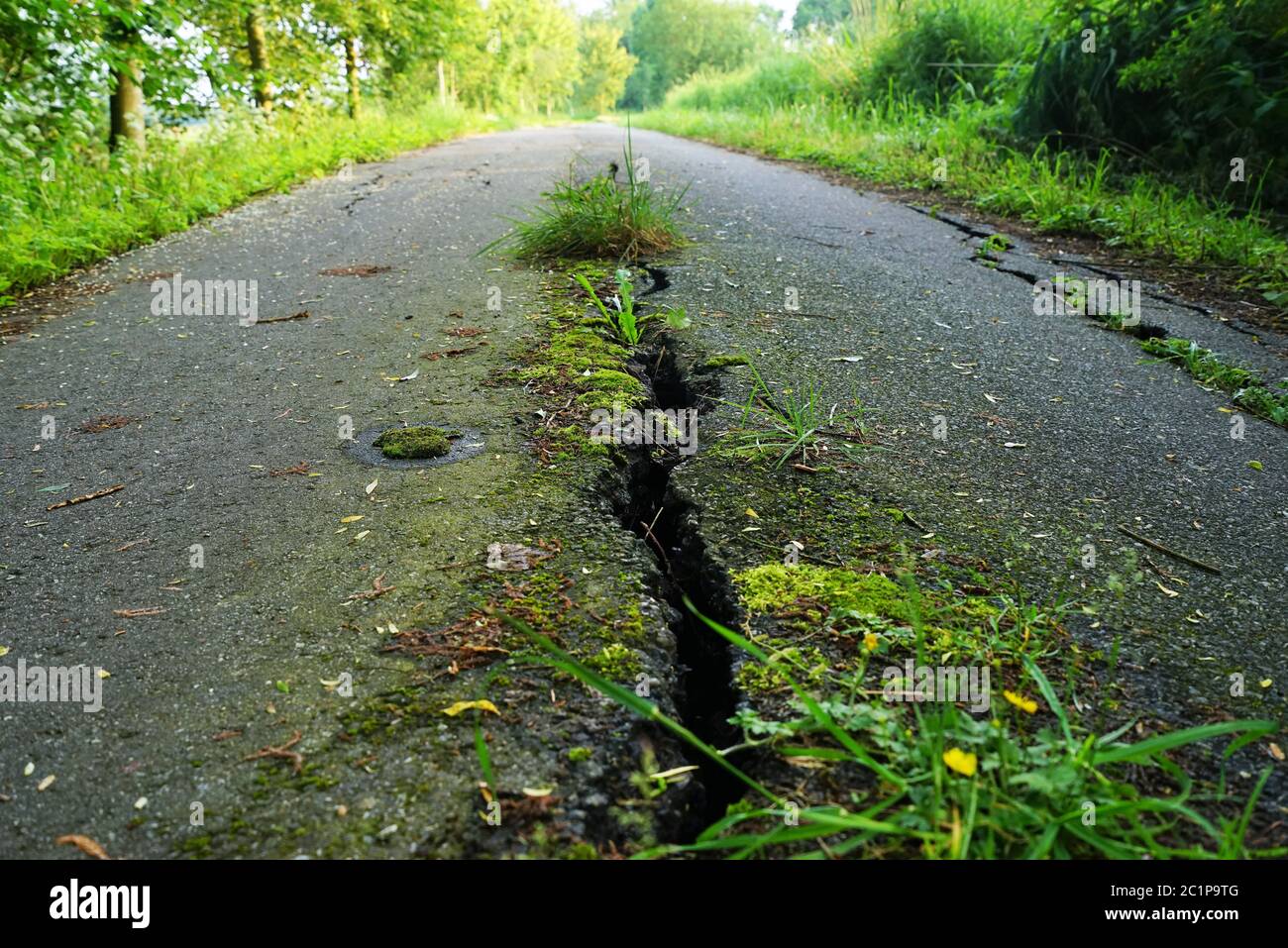 Wide crack in a road in summer Stock Photo - Alamy