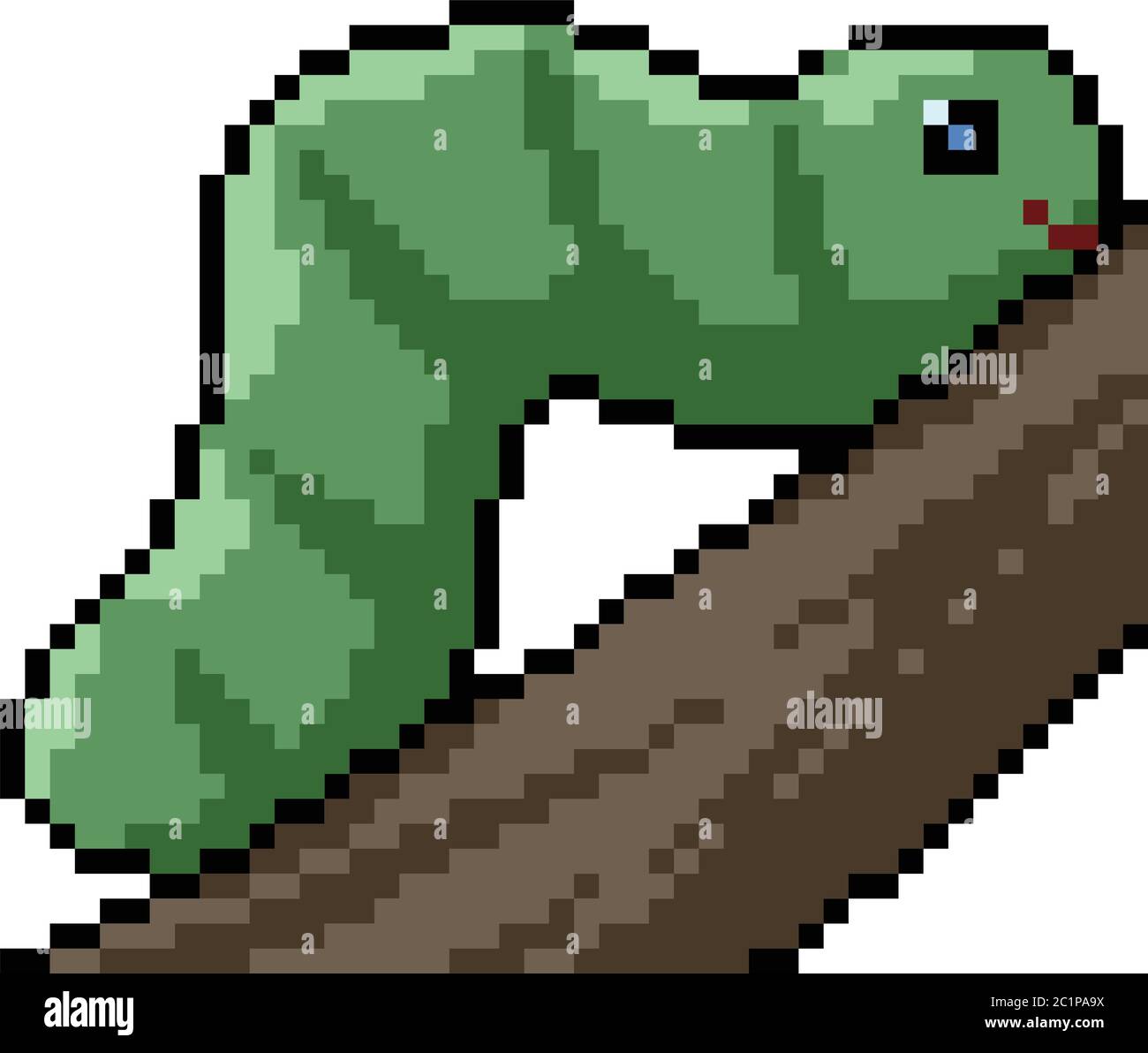 Larva Vector Vectors High Resolution Stock Photography and Images - Alamy