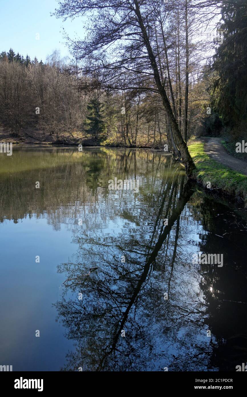Lake with reflection in vertical Stock Photo - Alamy