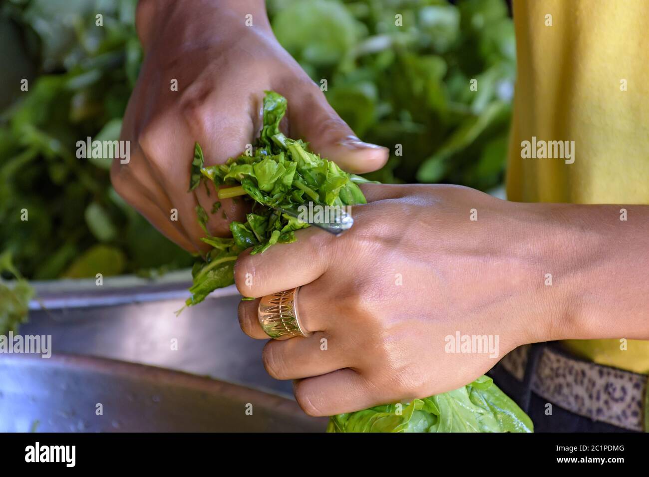 Woman hands cutting and preparing fresh vegetables Stock Photo - Alamy