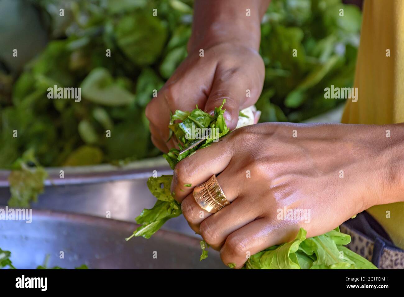 Hands cutting and preparing fresh vegetables to eat Stock Photo - Alamy