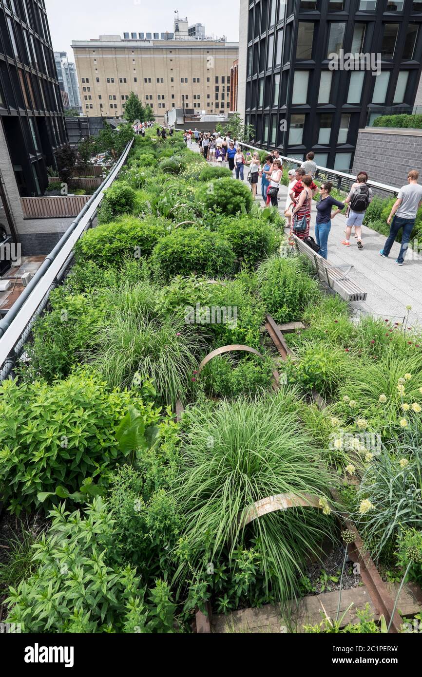 People walking on the High Line Park. The High Line is a park built on an historic freight rail ...