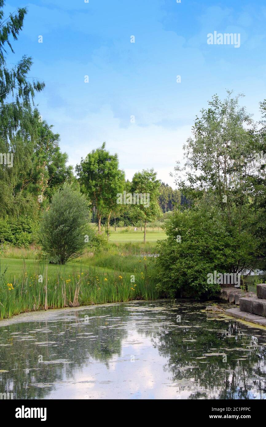 Habitat shrubs hi-res stock photography and images - Alamy