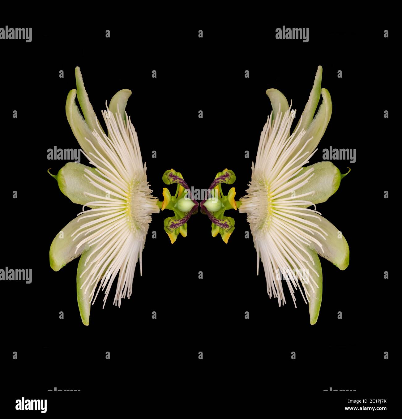 Double play hi-res stock photography and images - Alamy