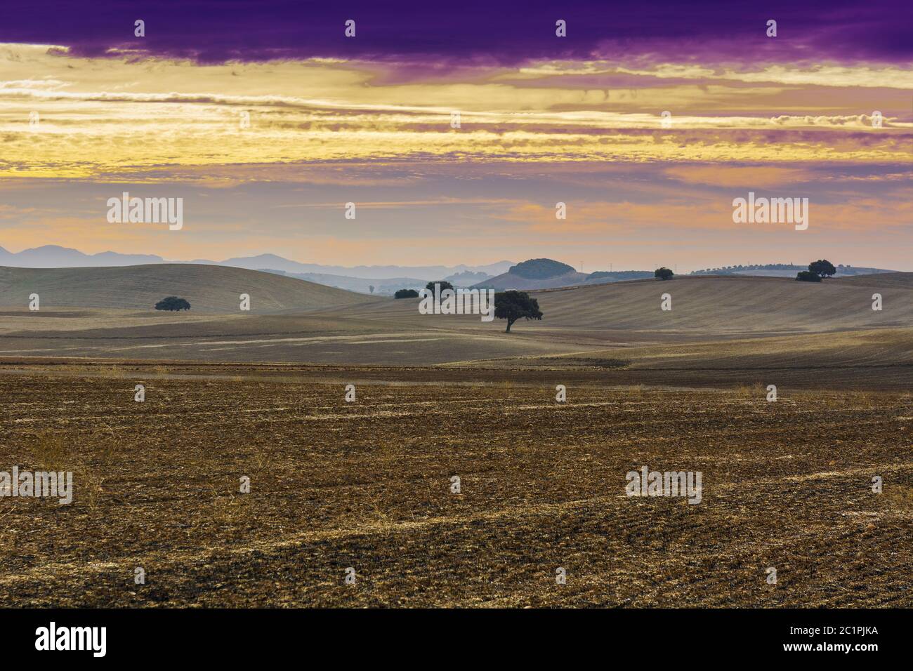 Nature of the Iberian Peninsula Stock Photo - Alamy