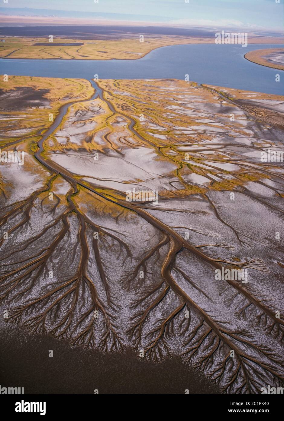 Colorado River Delta Dry