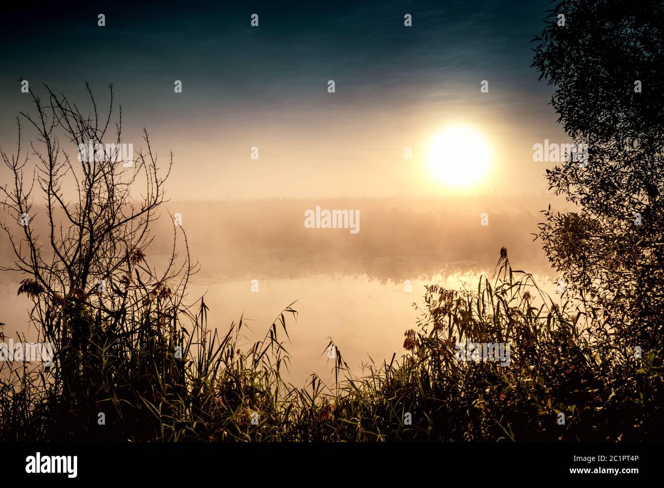 Dramatic mystical twilight landscape with rising sun, tree, reed and ...